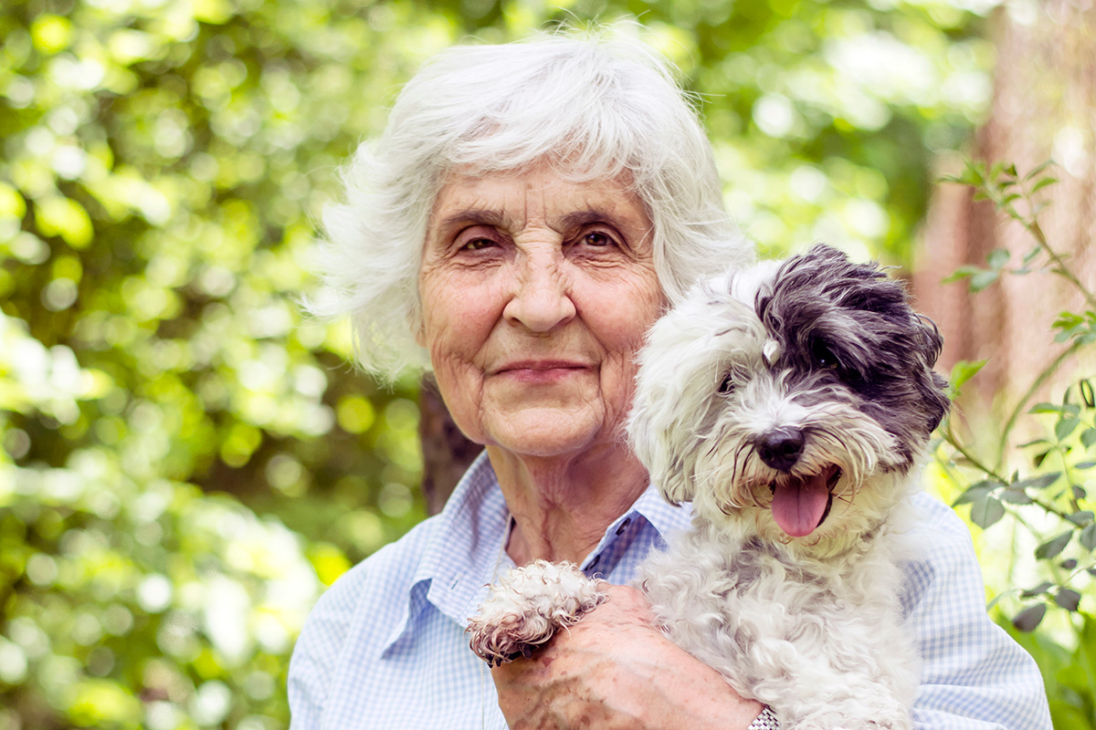 Pet Therapy: The Benefits of Animal Companionship for Seniors - Genuine ...